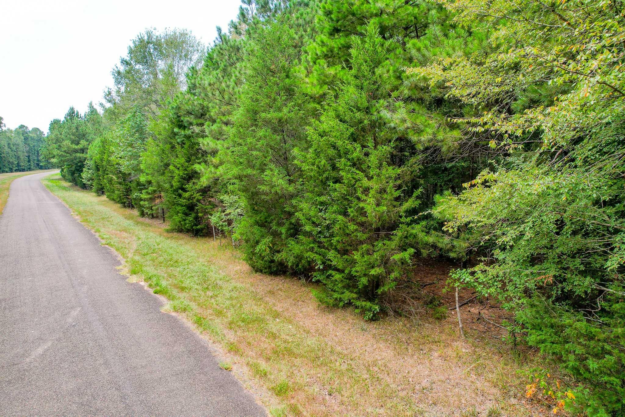 County Road 4606, Troup, TX 75989 | Land.com
