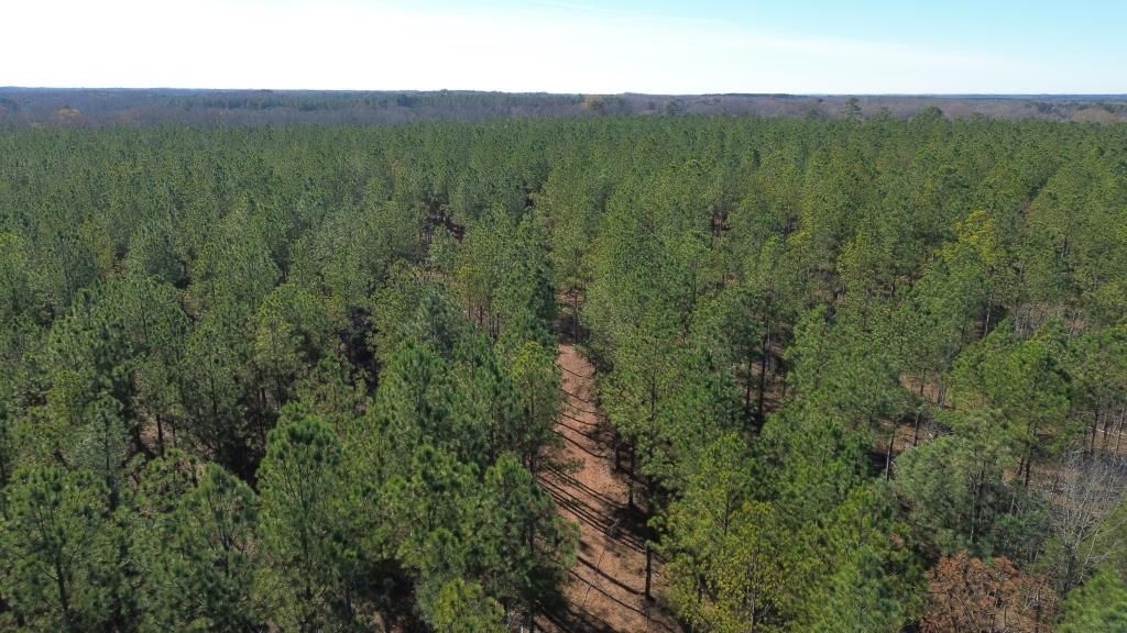 100 acres in Abbeville, SC, 29620 | MLS: B607- Horse Farm | Land.com 100 acres in Abbeville, SC, 29620 | MLS: B607- Horse Farm | Land.com