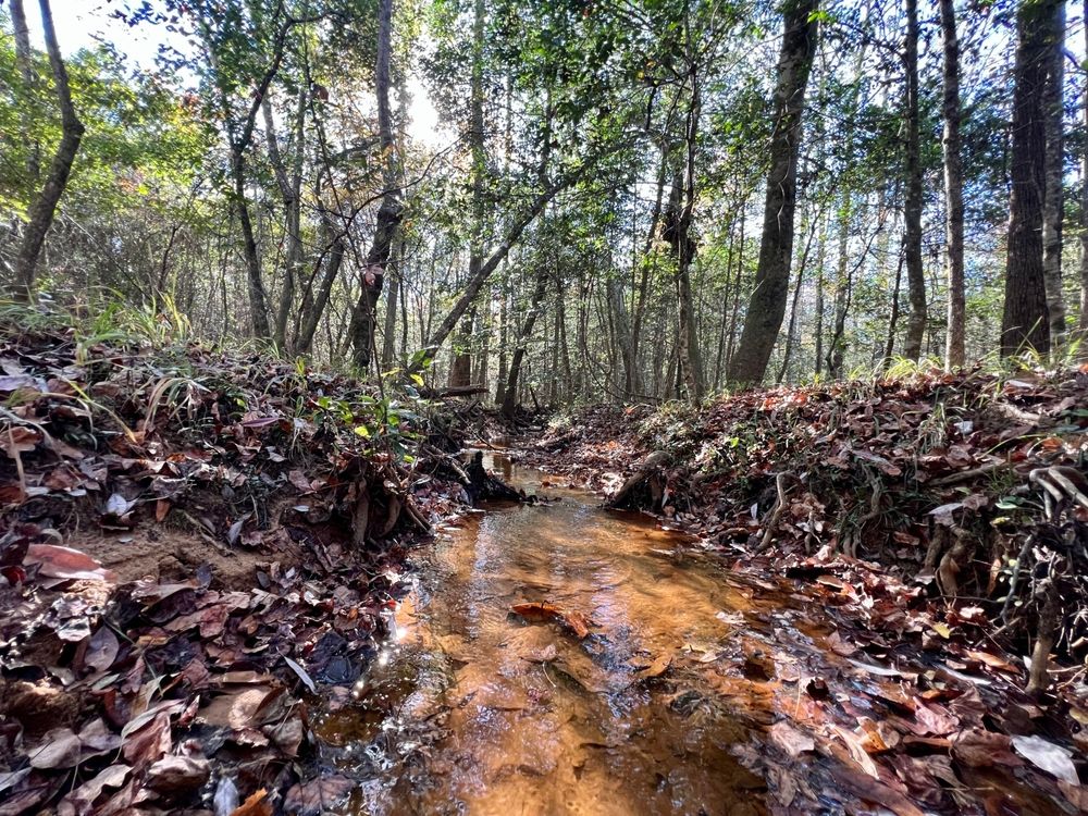 County Road 1143, Troy, AL 36079 | Land.com