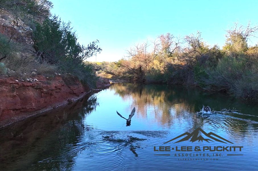 FM 2059, Robert Lee, TX 76945 | Land.com