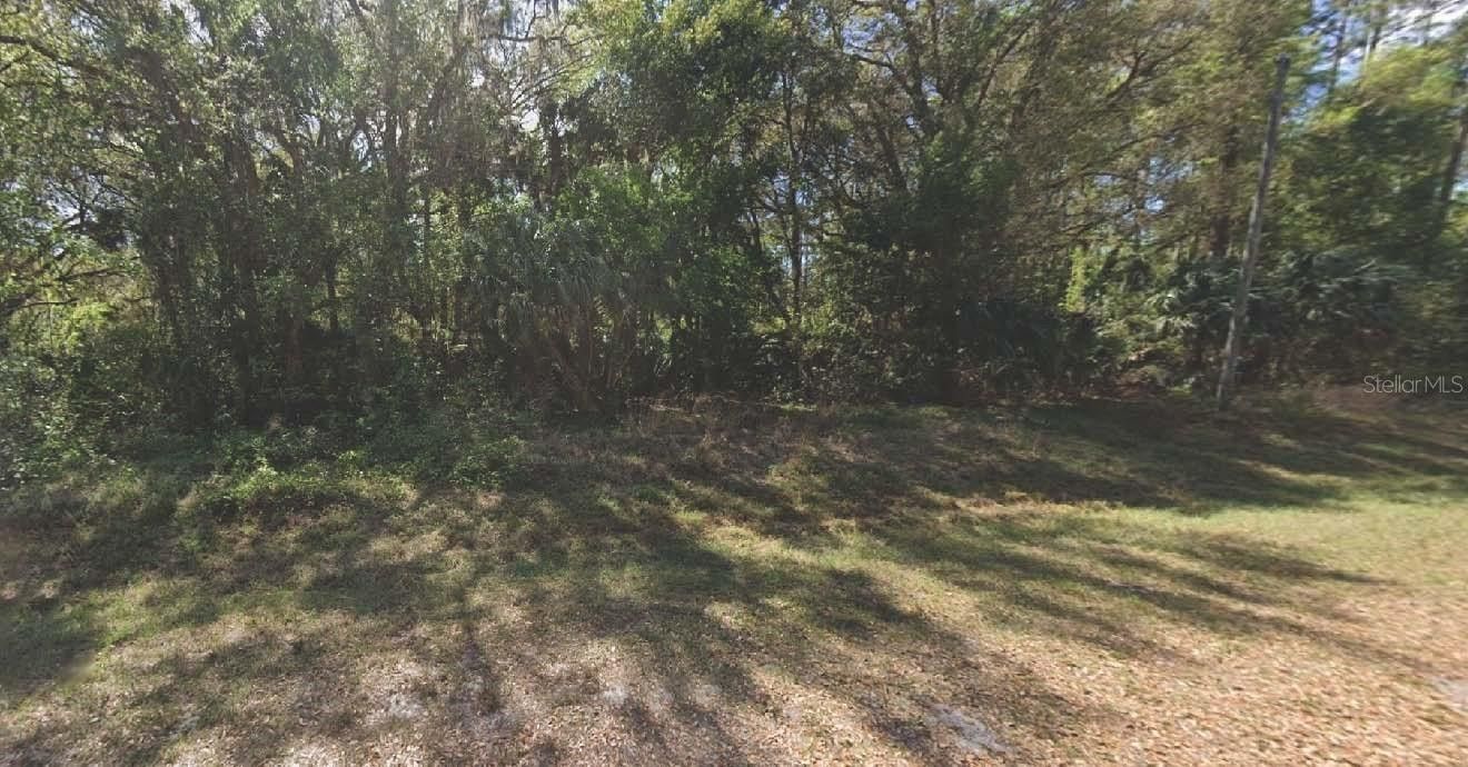 324 E EDGEWOOD DRIVE, Georgetown, FL 32139 | MLS: OM672127 | Land.com