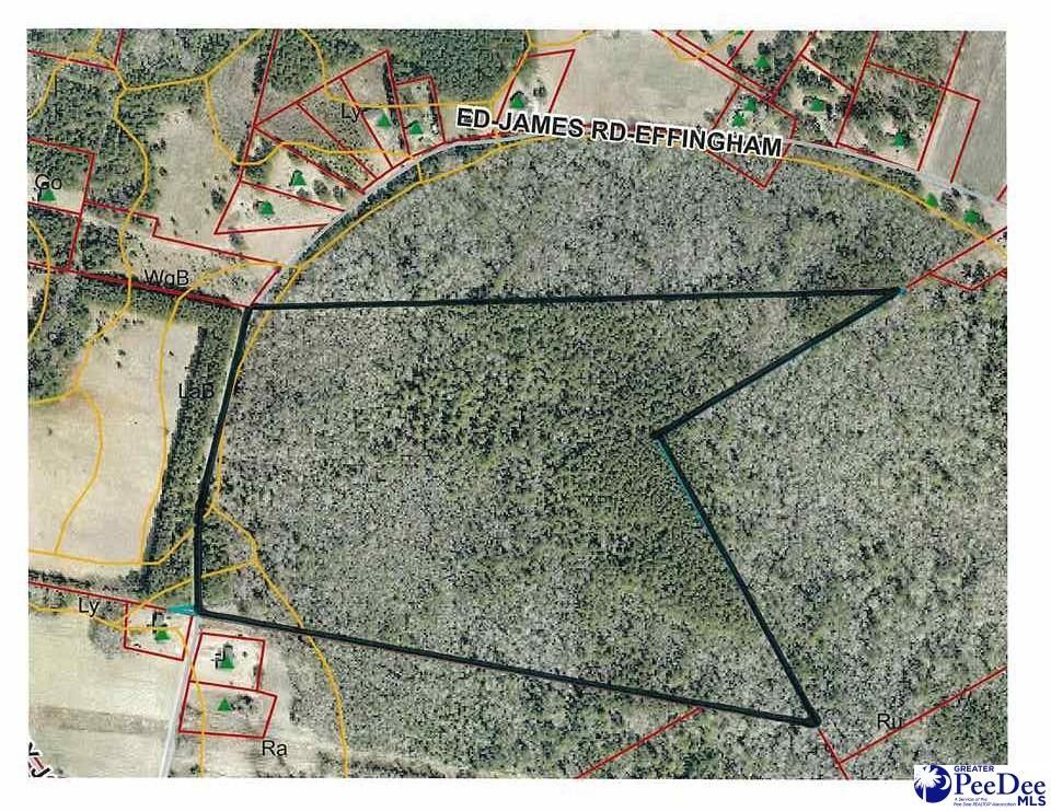 TBD Ed James Rd., Effingham, SC 29561 | MLS: 20240422 | Land.com