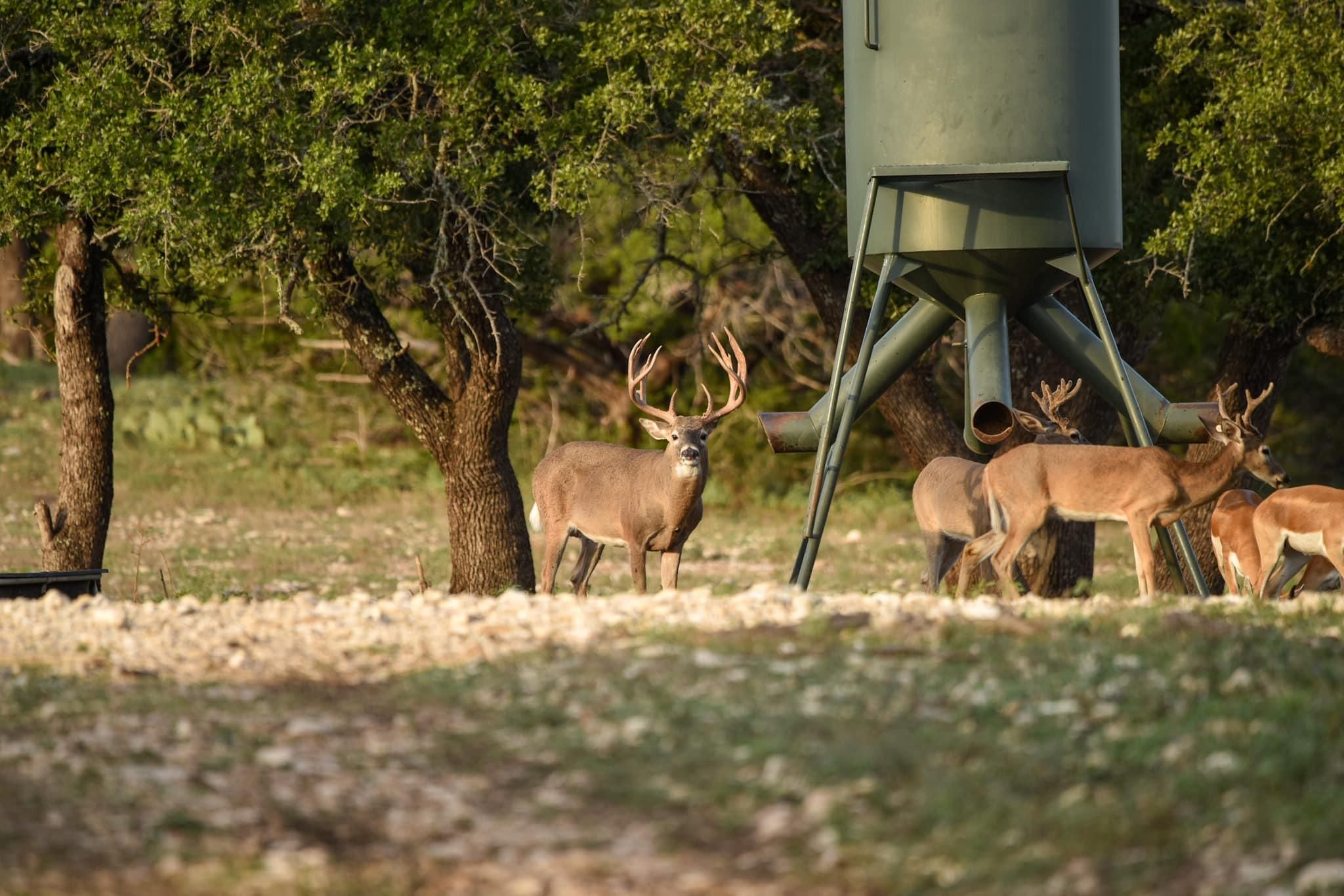 1585 Kc 213, Junction, TX 76849 | Land.com