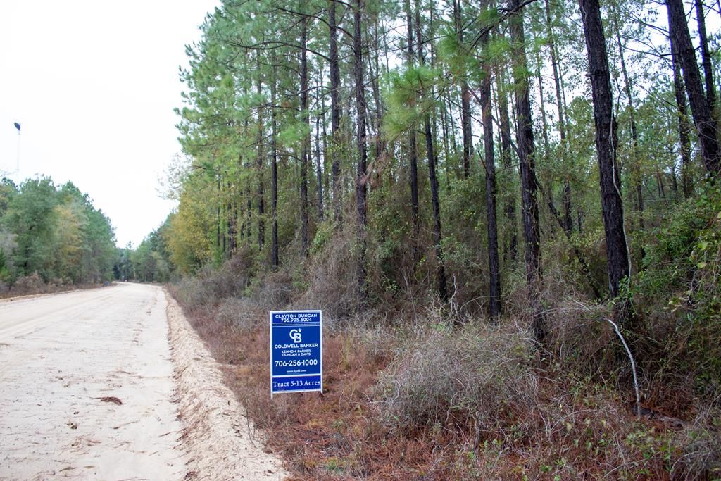 5 Pilgram Church Road, Gordon, AL 36343 | MLS: 209369 | Land.com