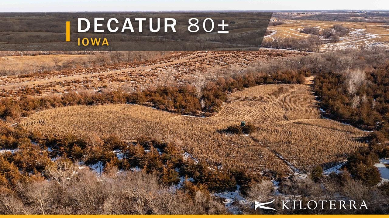 80 acres in Decatur County, Iowa
