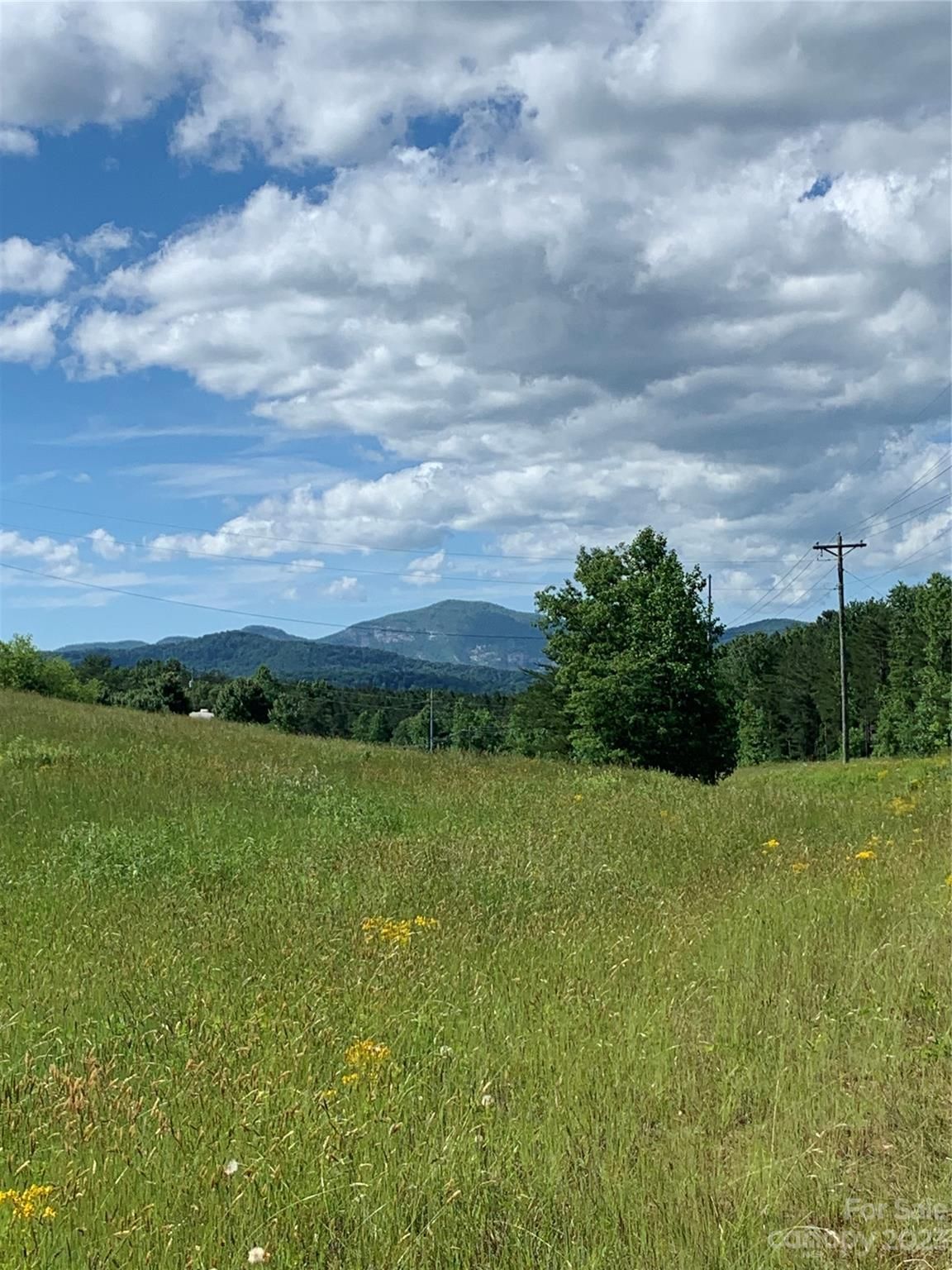 Nc 9 Highway, Mill Spring, NC 28756 | MLS: 4031122 | Land.com