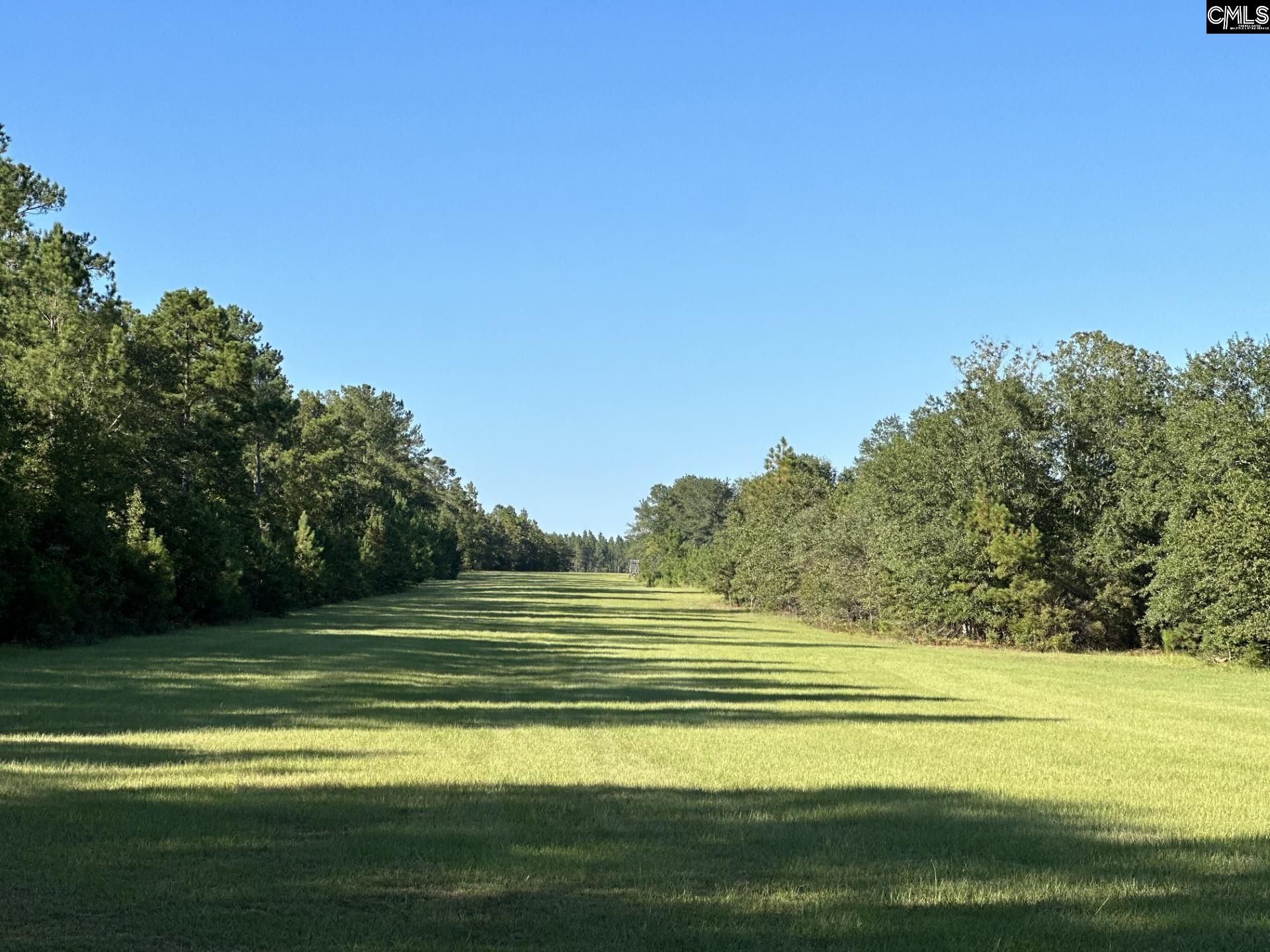 1340 Clayton Road, Ridge Spring, SC 29129 | MLS: 567997 | Land.com