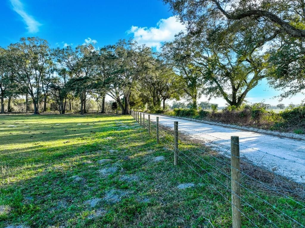 Lots & Acreage - Chiefland, FL