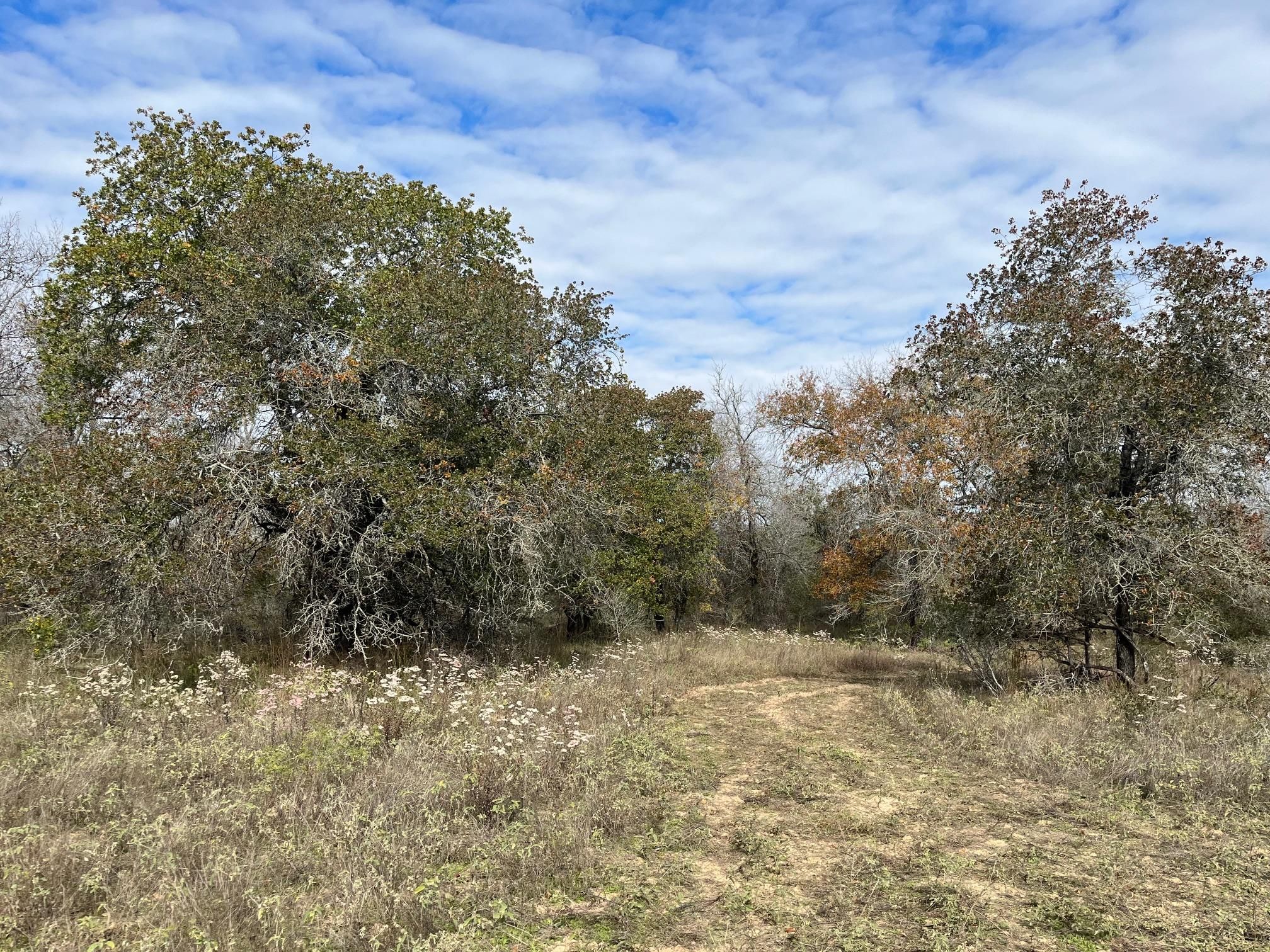 Webb Rd, Somerset, TX 78069 | Land.com