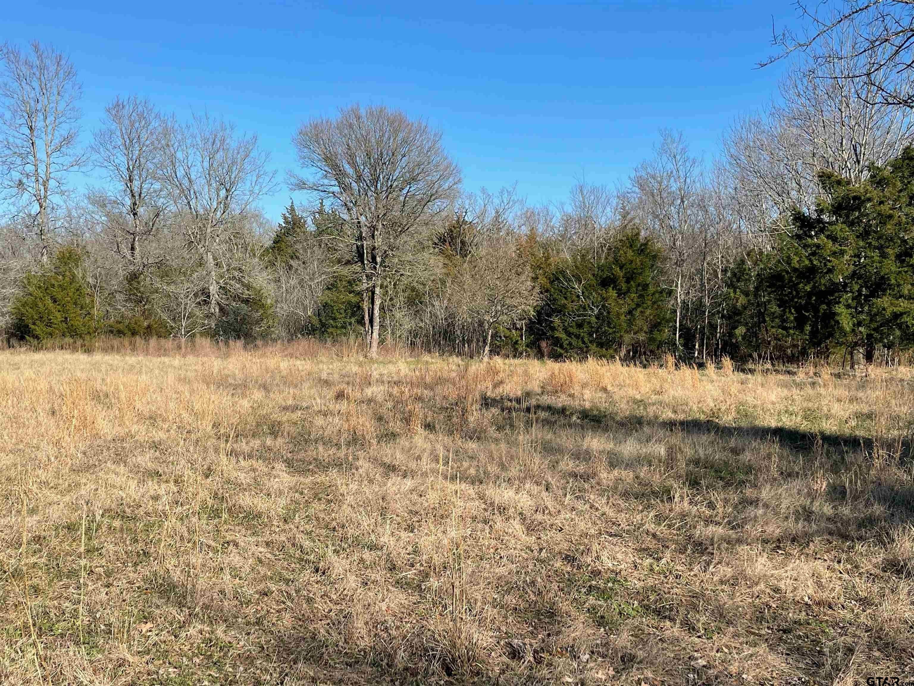 1380 RS County Road 4480, Point, TX 75472 | MLS: 24002021 | Land.com