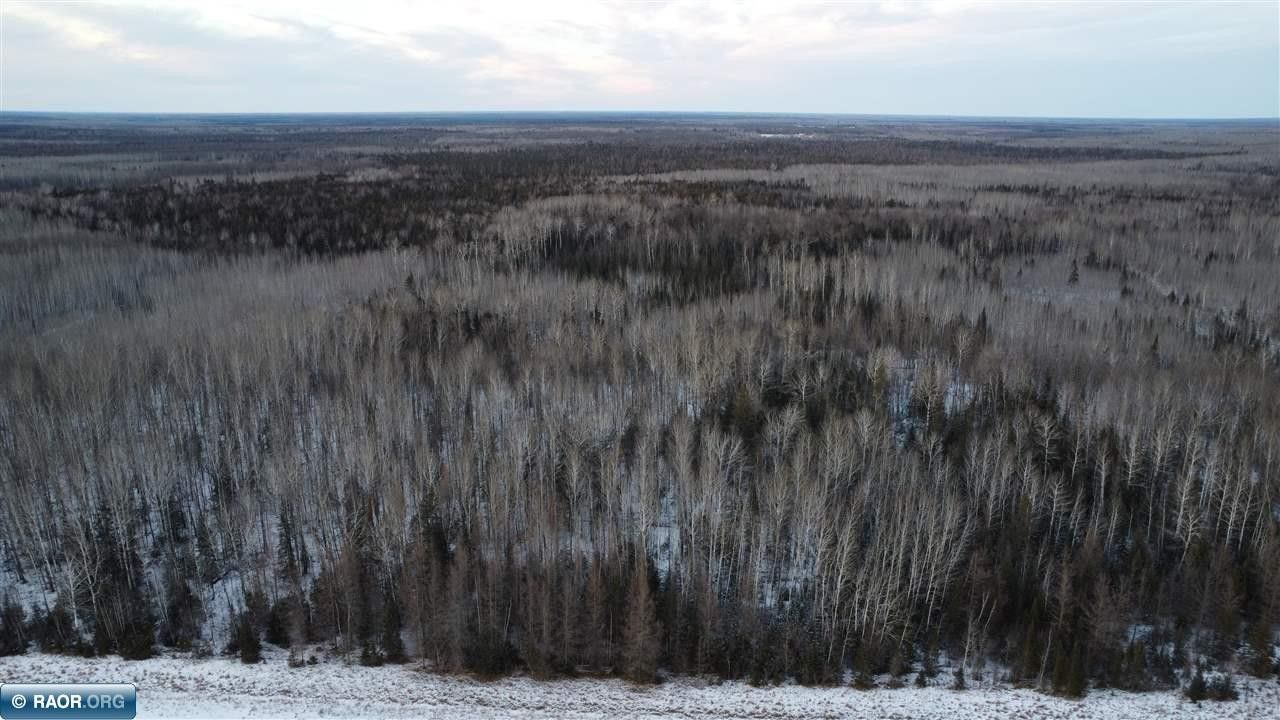 20 acres in Koochiching County, Minnesota
