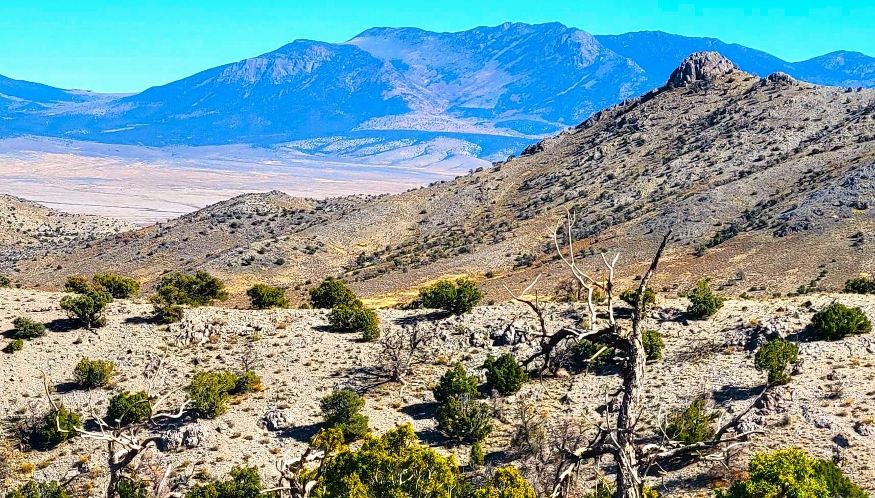 40 acres in Montello, NV, 89830 | MLS: 010-35P-024 | Land.com