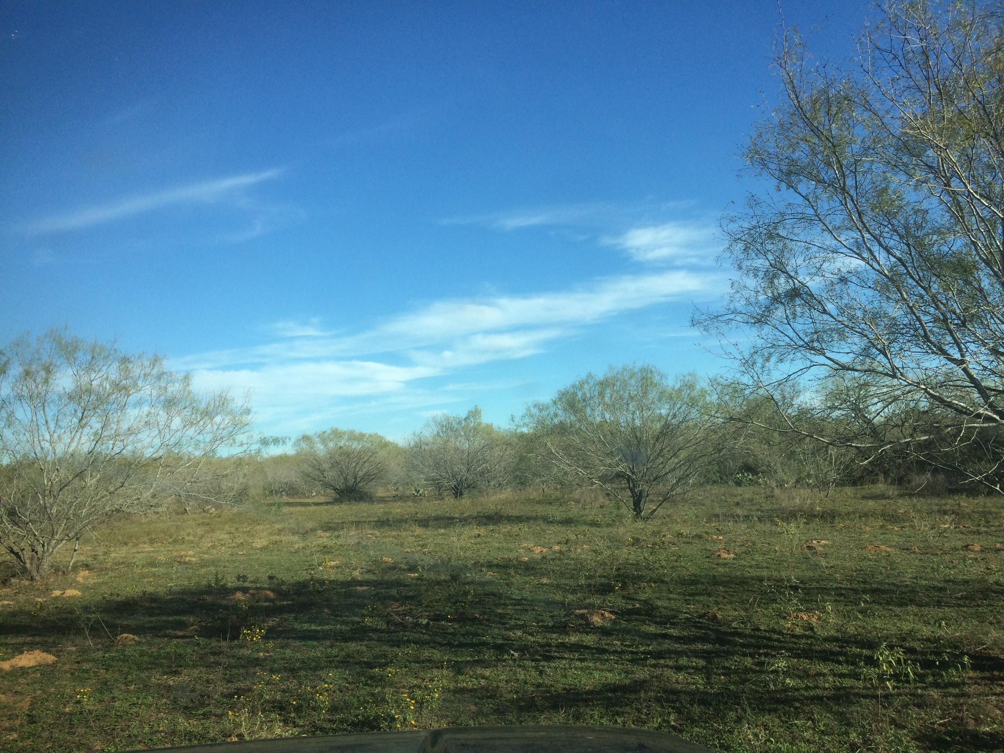 3847 FM3175, Lytle, TX 78052 | Land.com
