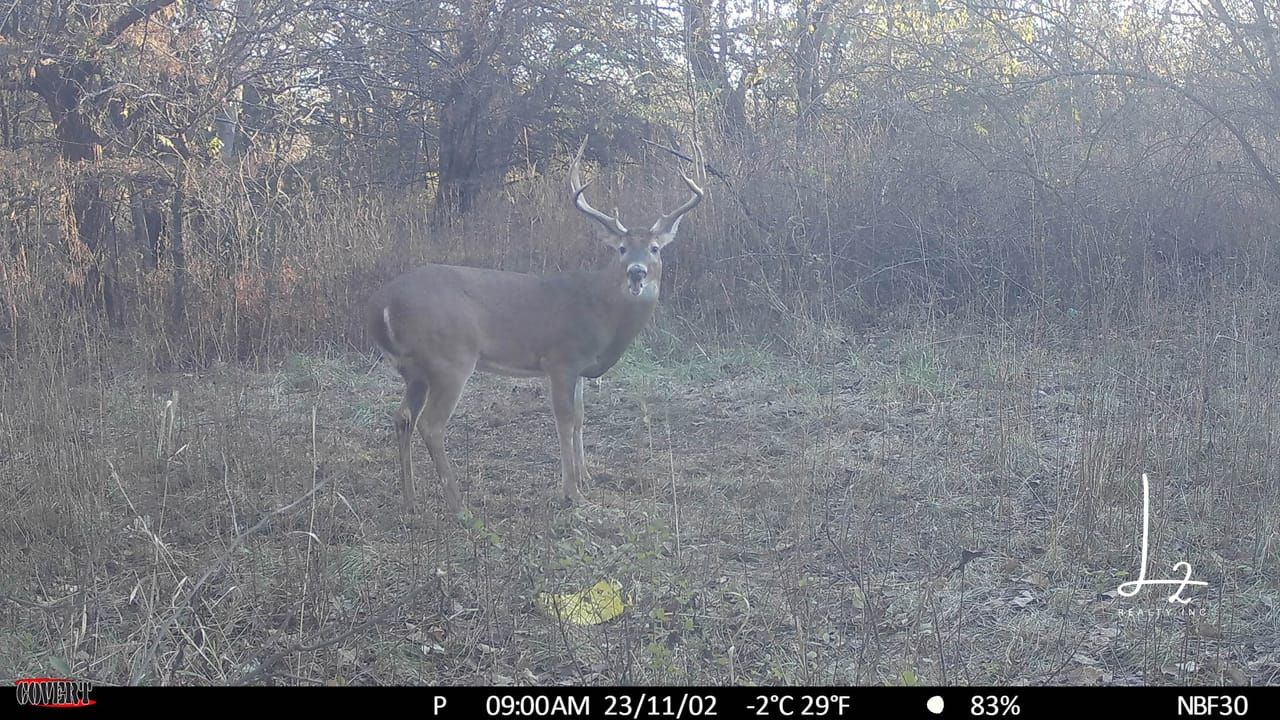 1303 S 37th, Parsons, KS 67357 | Land.com