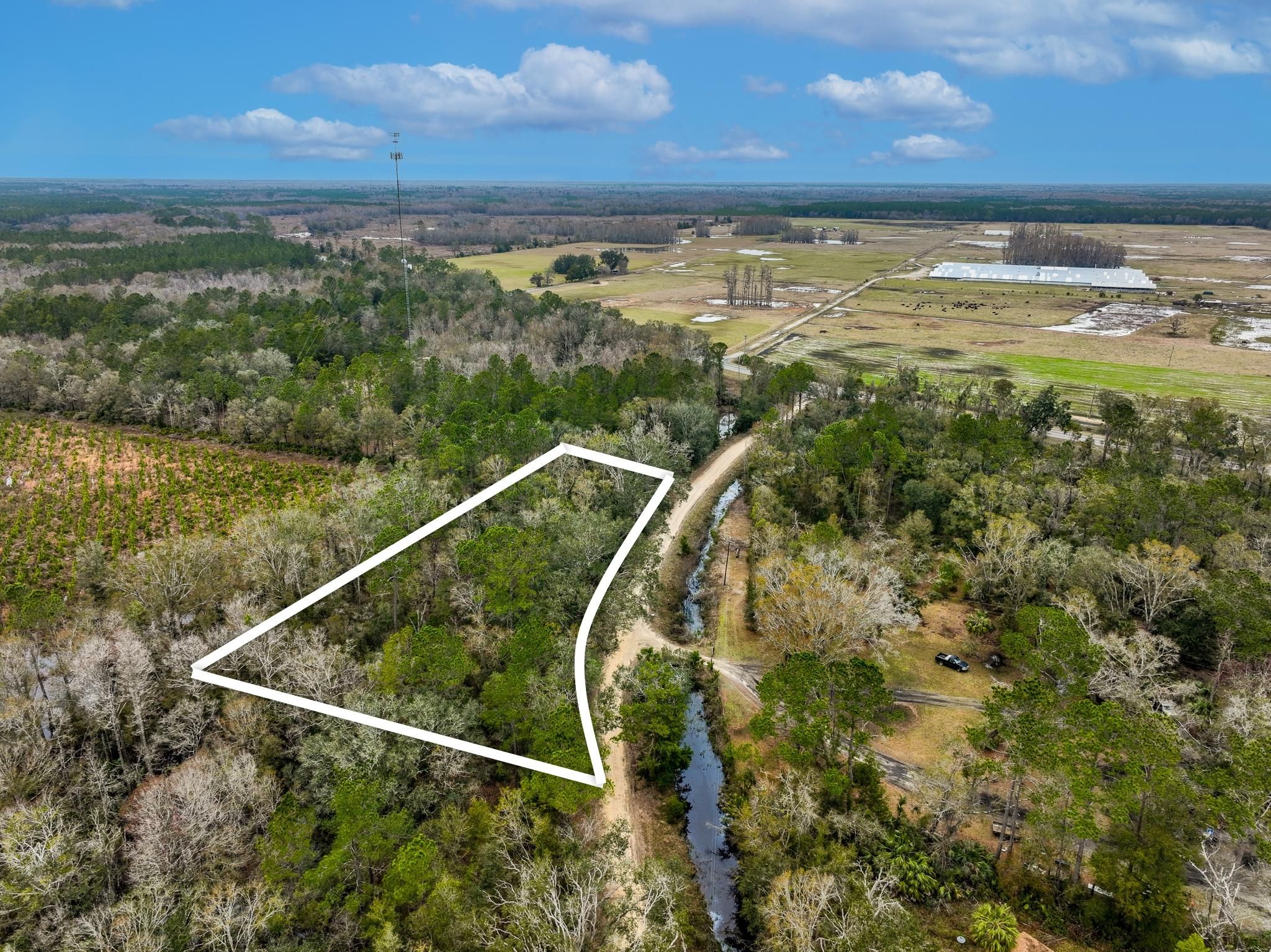 Vacant David Horton Rd, Perry, FL 32348 | Land.com