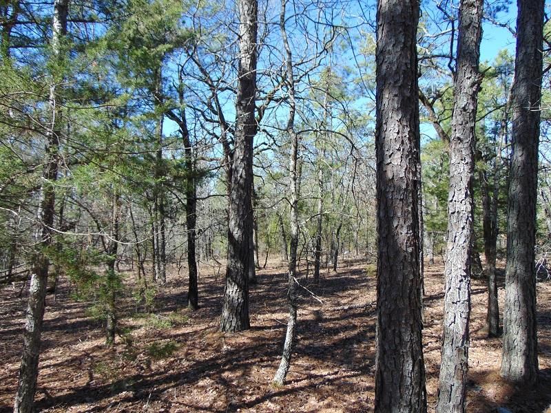 9.95 acres in Wister, OK, 74966 | Land.com