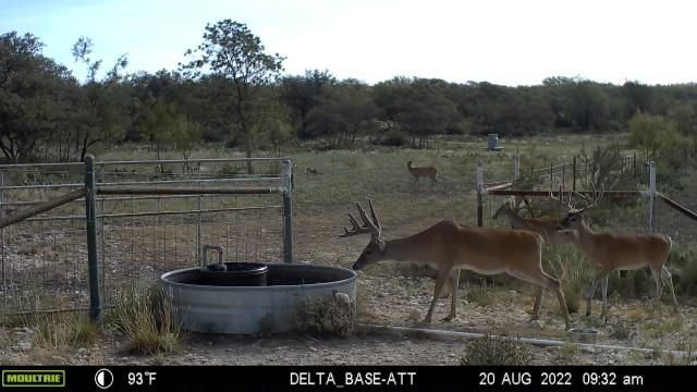 235 acres in Melvin, TX, 76858 | Land.com