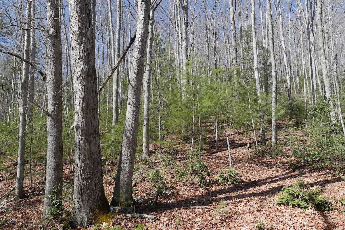 Jeb Stuart Highway, Lot#WP001, Damascus, VA 24236 | Land.com