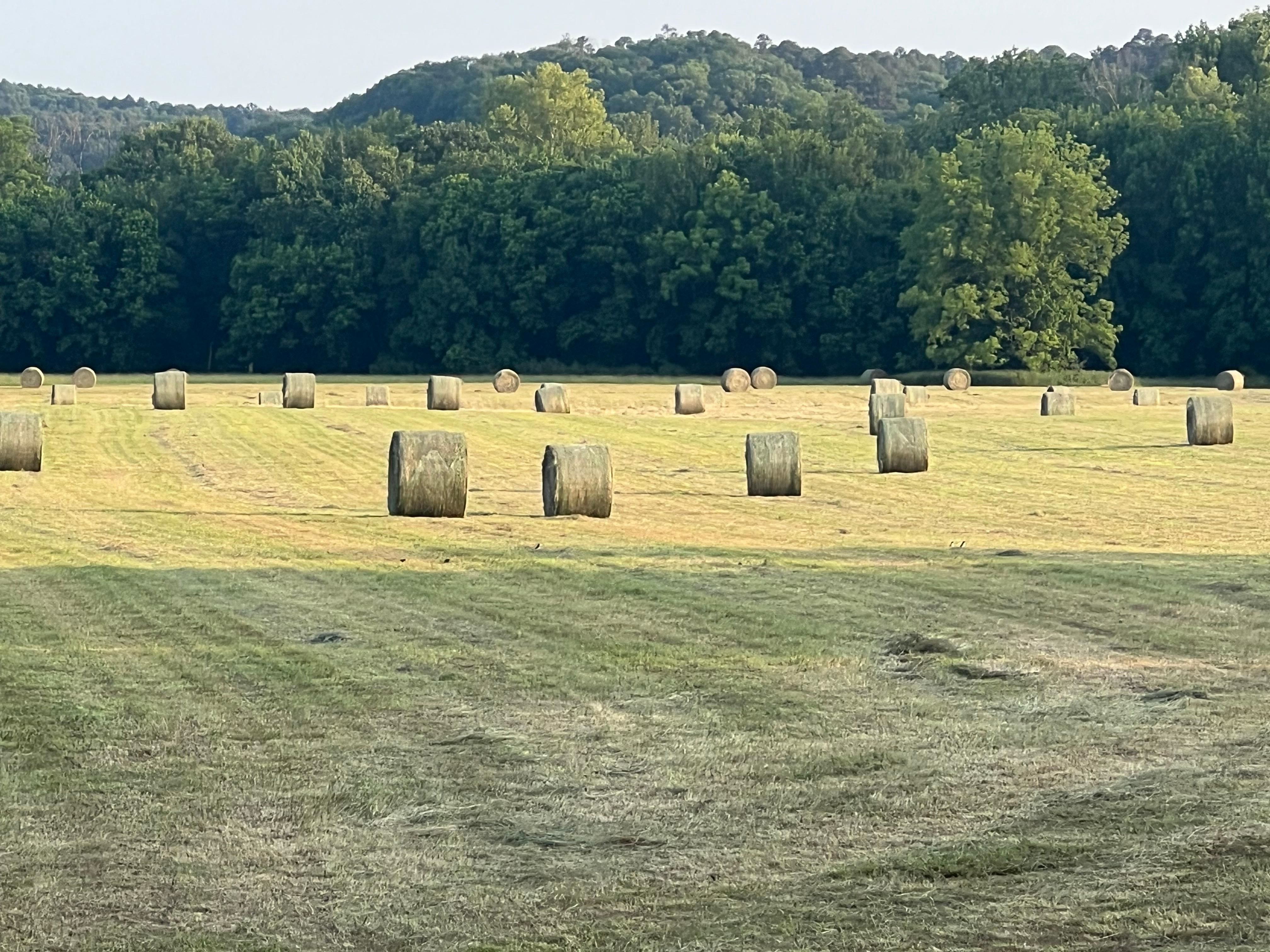 HWY 10 Scraper, Tahlequah, OK 74464 | Land.com