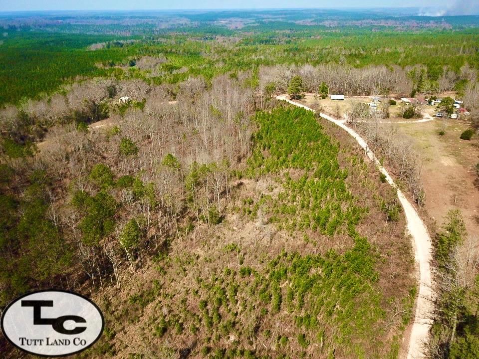 44 acres in Minter, AL, 36761 | Land.com