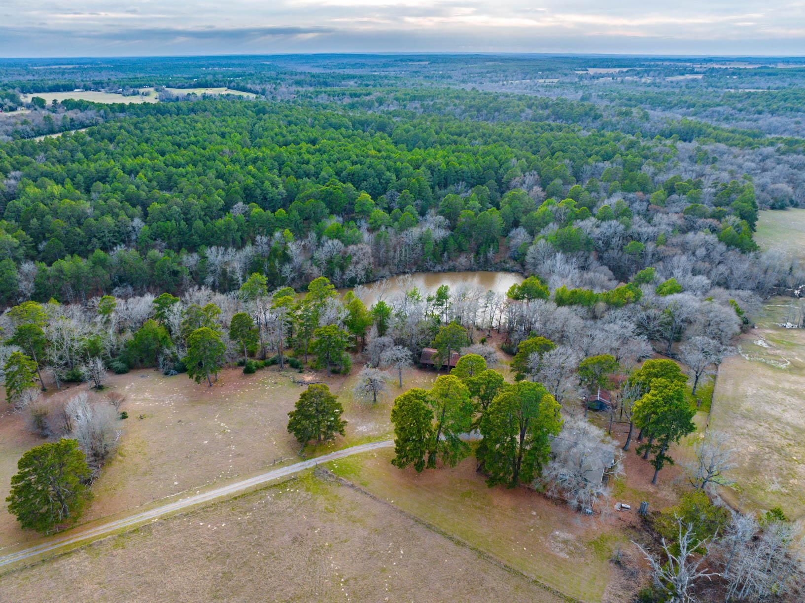543 CR 2300, Grapeland, TX 75844 | MLS: Seven Springs Ranch | Land.com