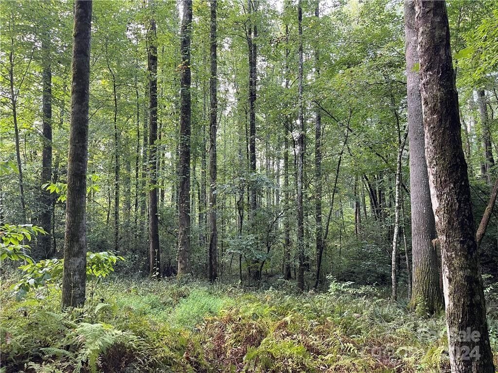 1.04 acres in Transylvania County, North Carolina