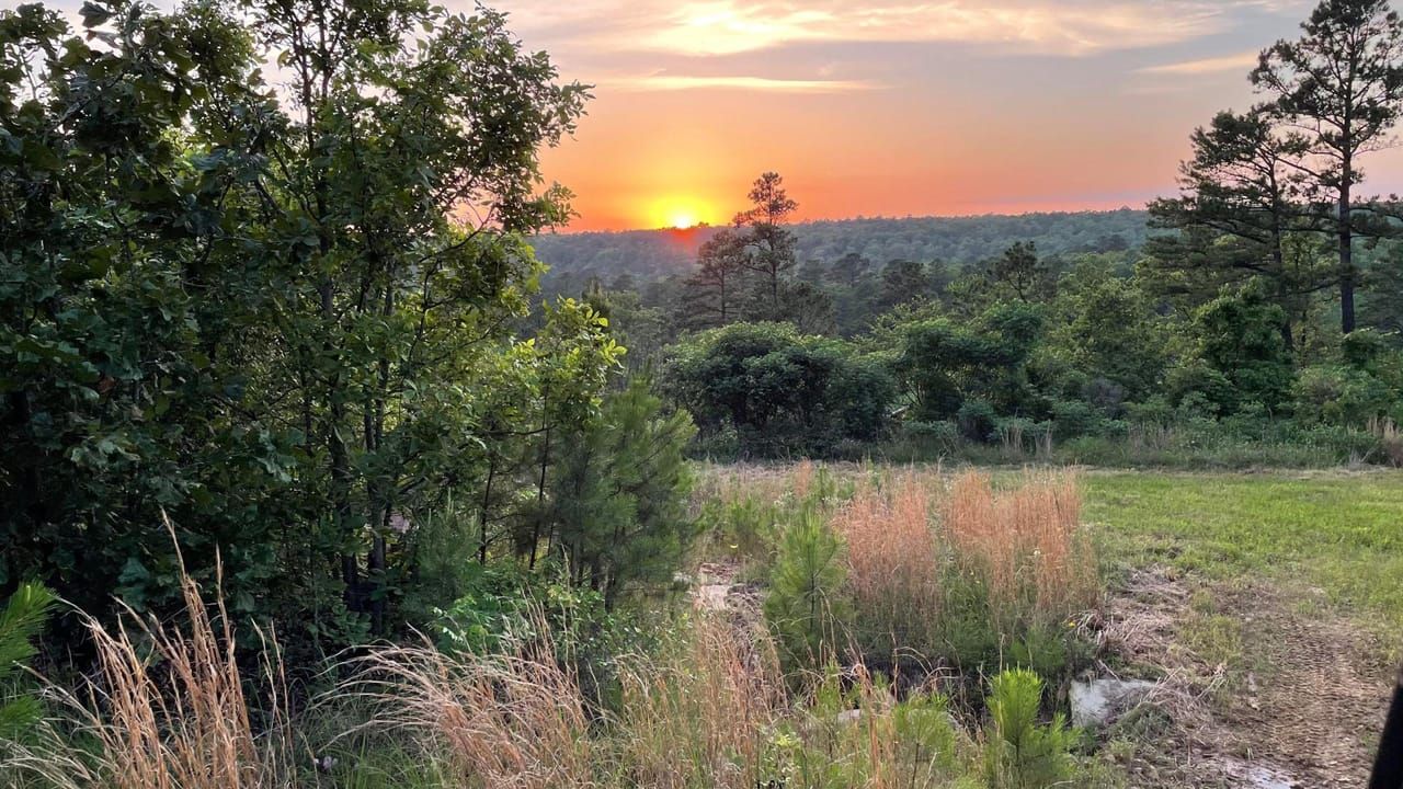 8858 N Crane Break Road, Atoka, OK 74569 | MLS: 20258264 | Land.com