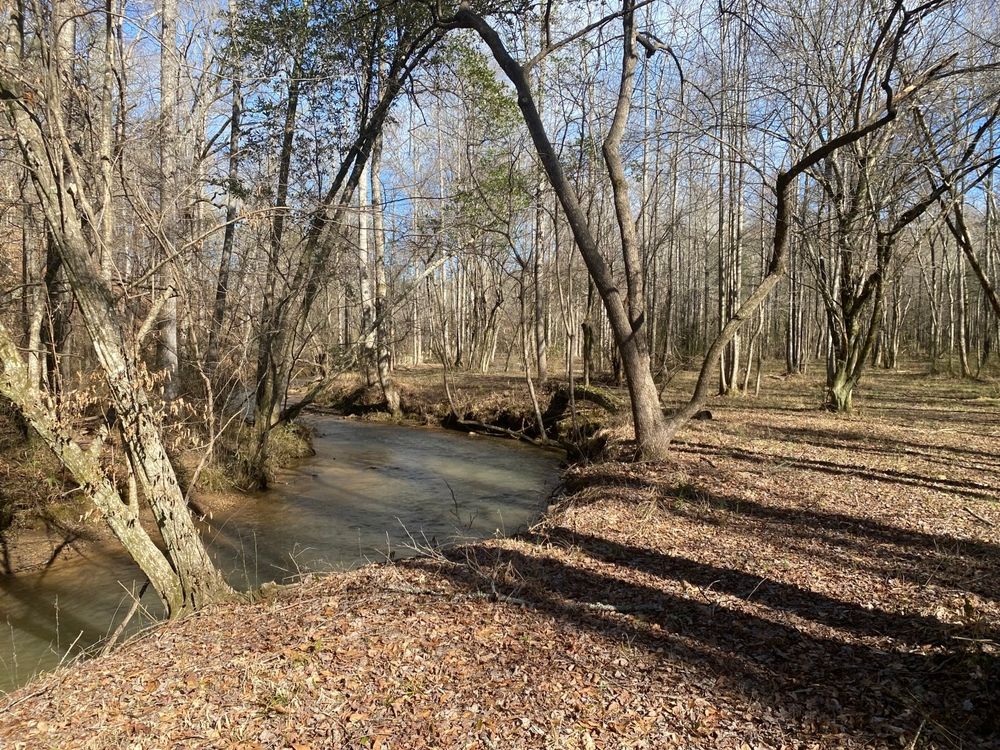 27 acres in Clay County, Alabama