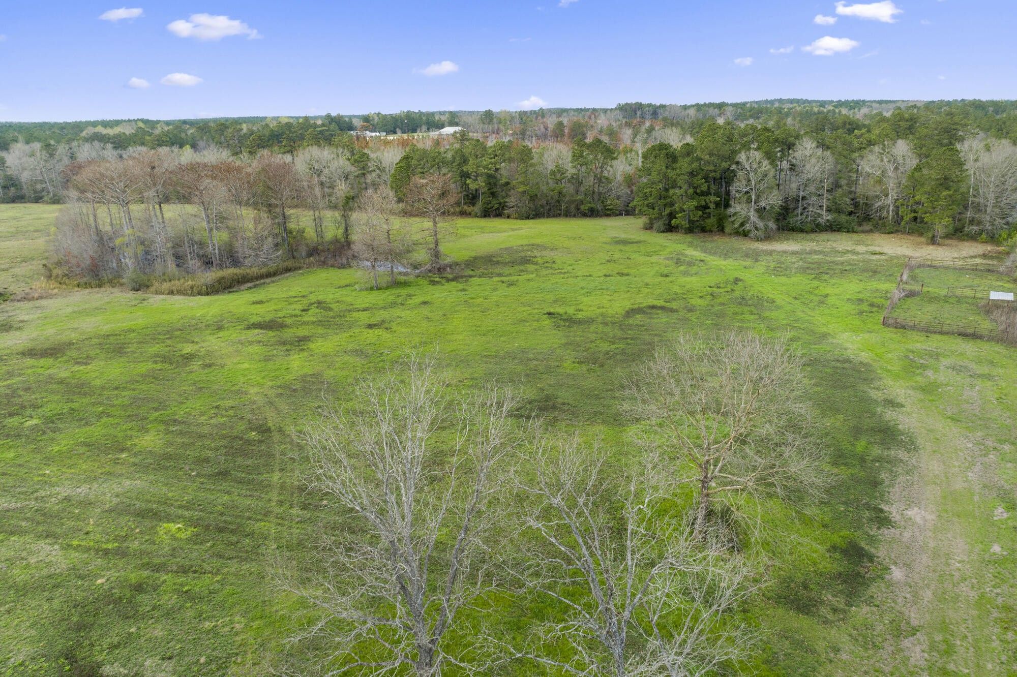 000 Fire Tower Rd., Columbia, MS 39429 | MLS: 137011 | Land.com