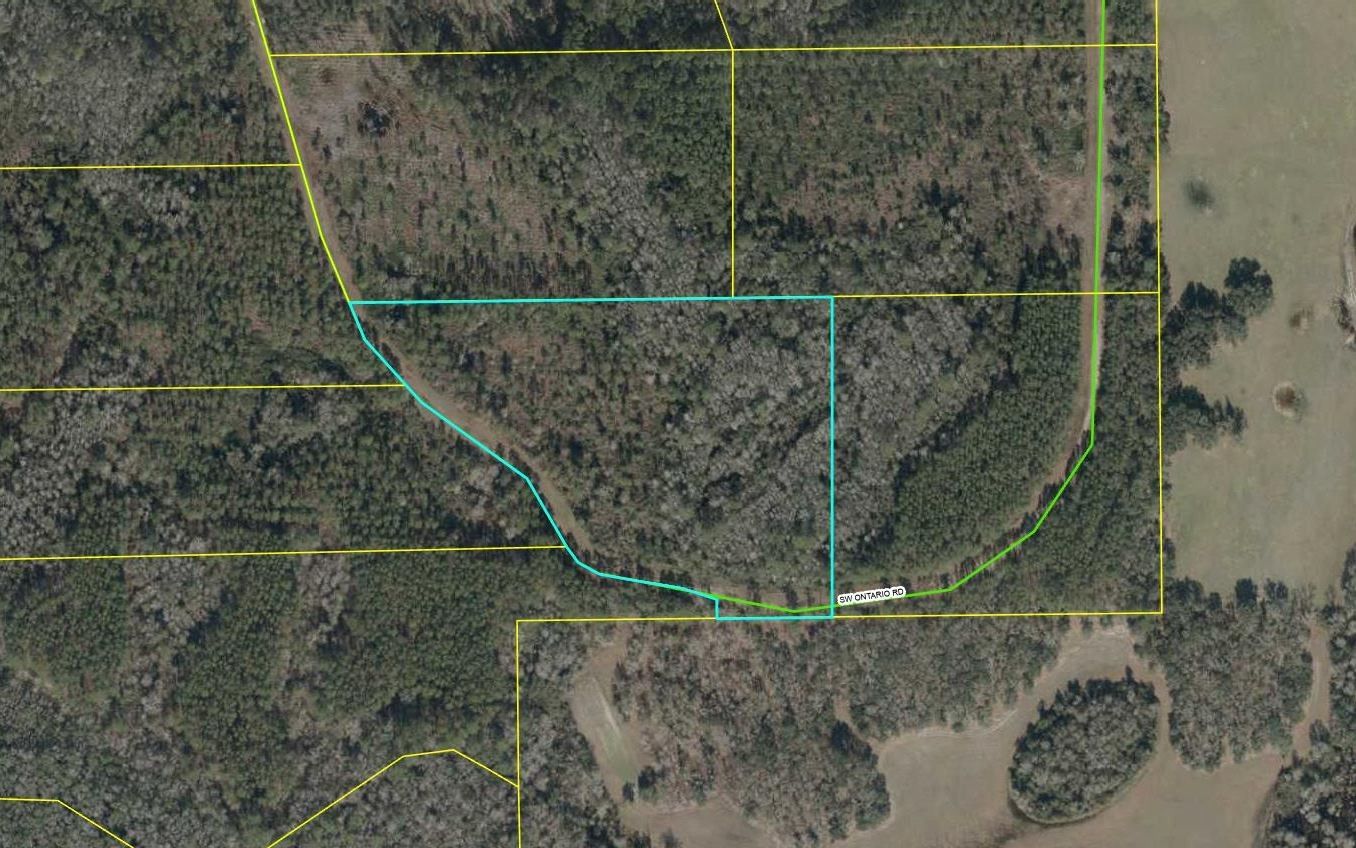 LOT32 SW ONTARIO ROAD, Greenville, FL 32331 | MLS: 122711 | Land.com
