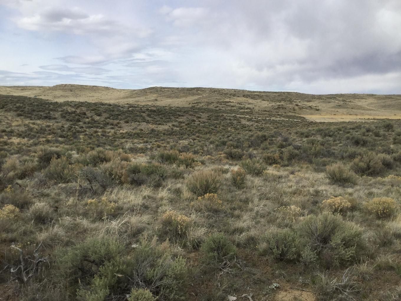 Sec 7 Twp 37 N Rge 59 E Mdb&M, Deeth, NV 89823 | Land.com