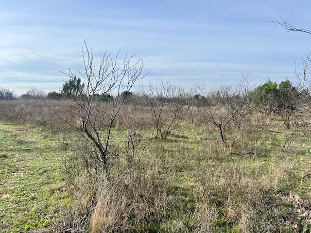 18.8 acres in Robert Lee, TX, 76945 | Land.com