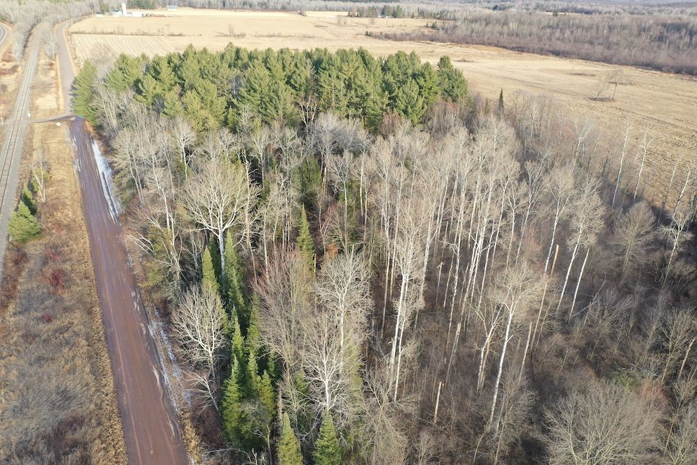 0 Old 14 Rd, Glen Flora, WI 54526 | Land.com