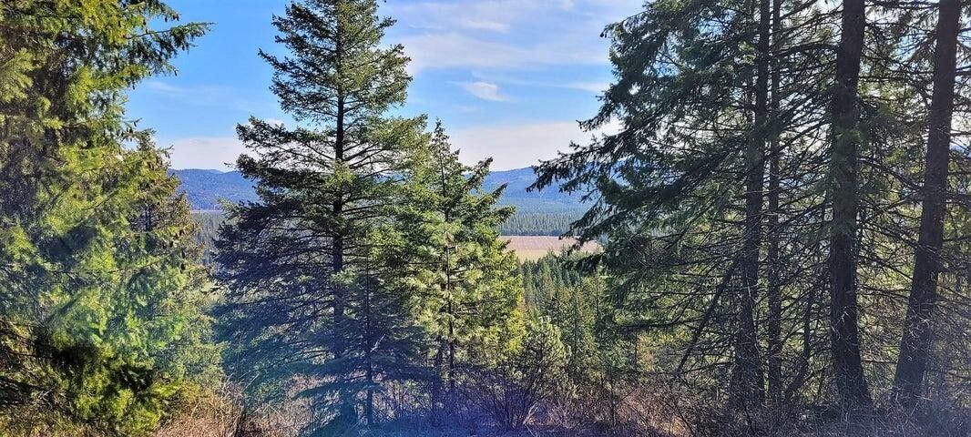 80 acres in Stevens County, Washington
