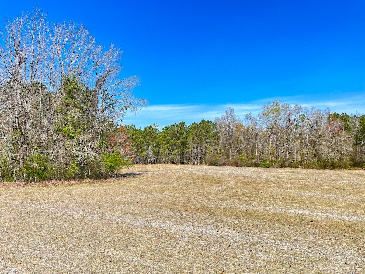 63.02 acres in Dillon County, South Carolina