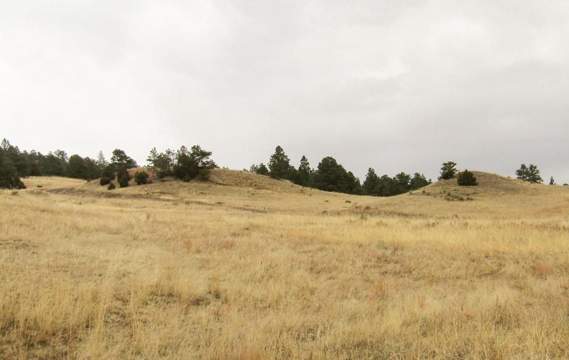 9697 Coyote Trail, Fort Laramie, WY 82212 | Land.com