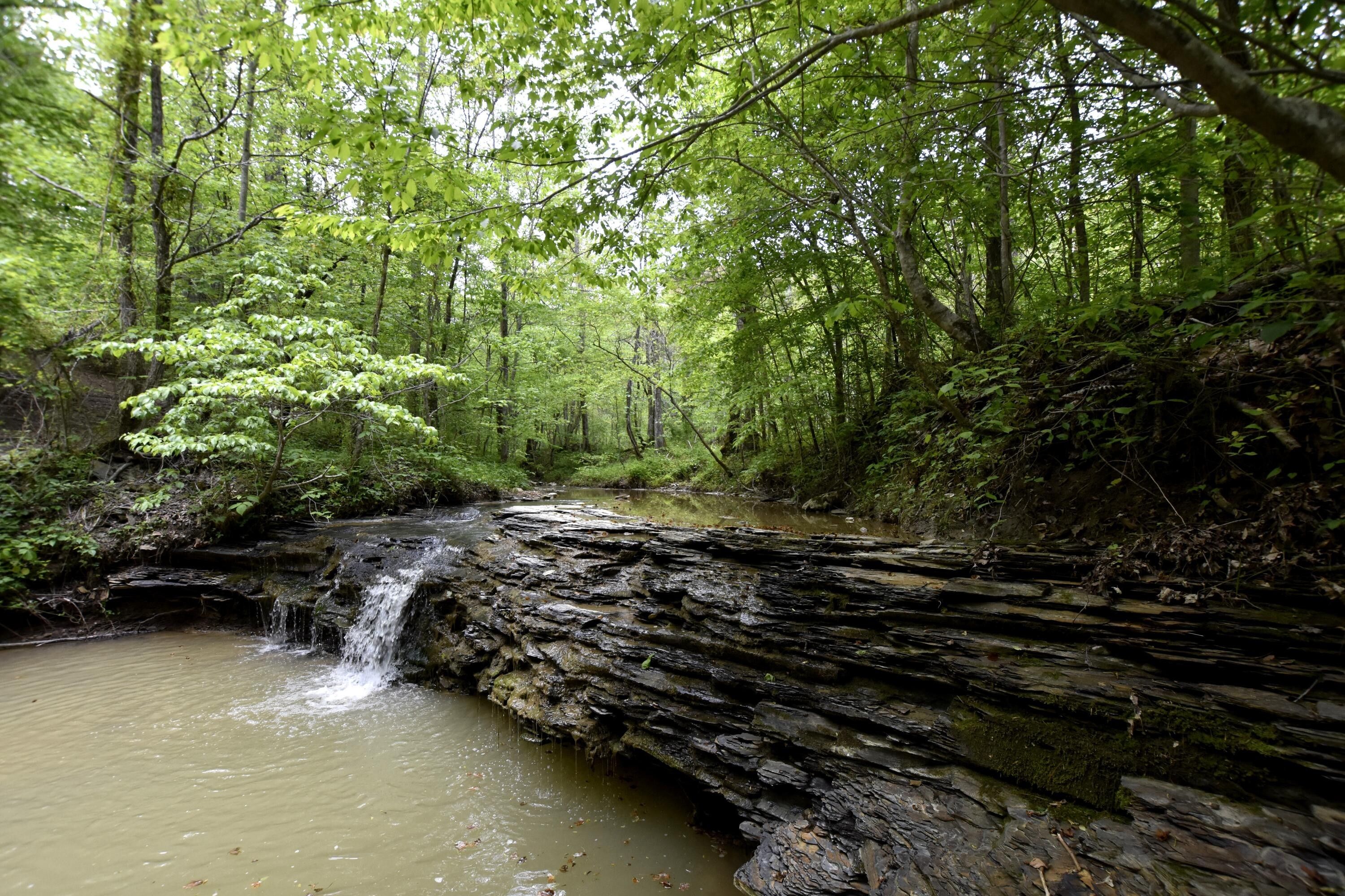 185 acres in Estill County, Kentucky