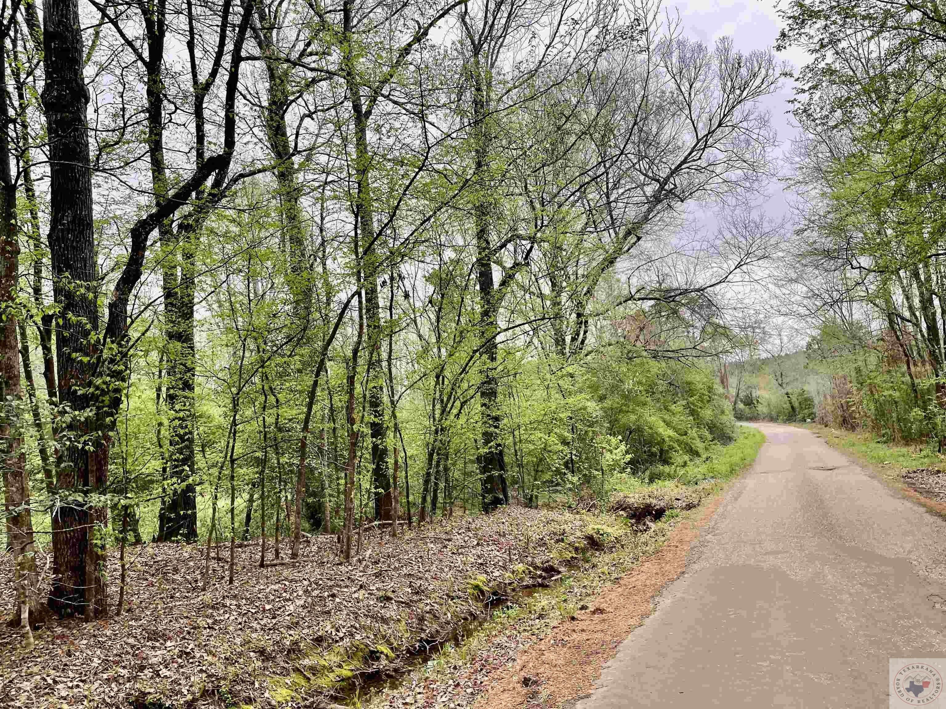 CR 3214, Atlanta, TX 75551 | MLS: 114477 | Land.com