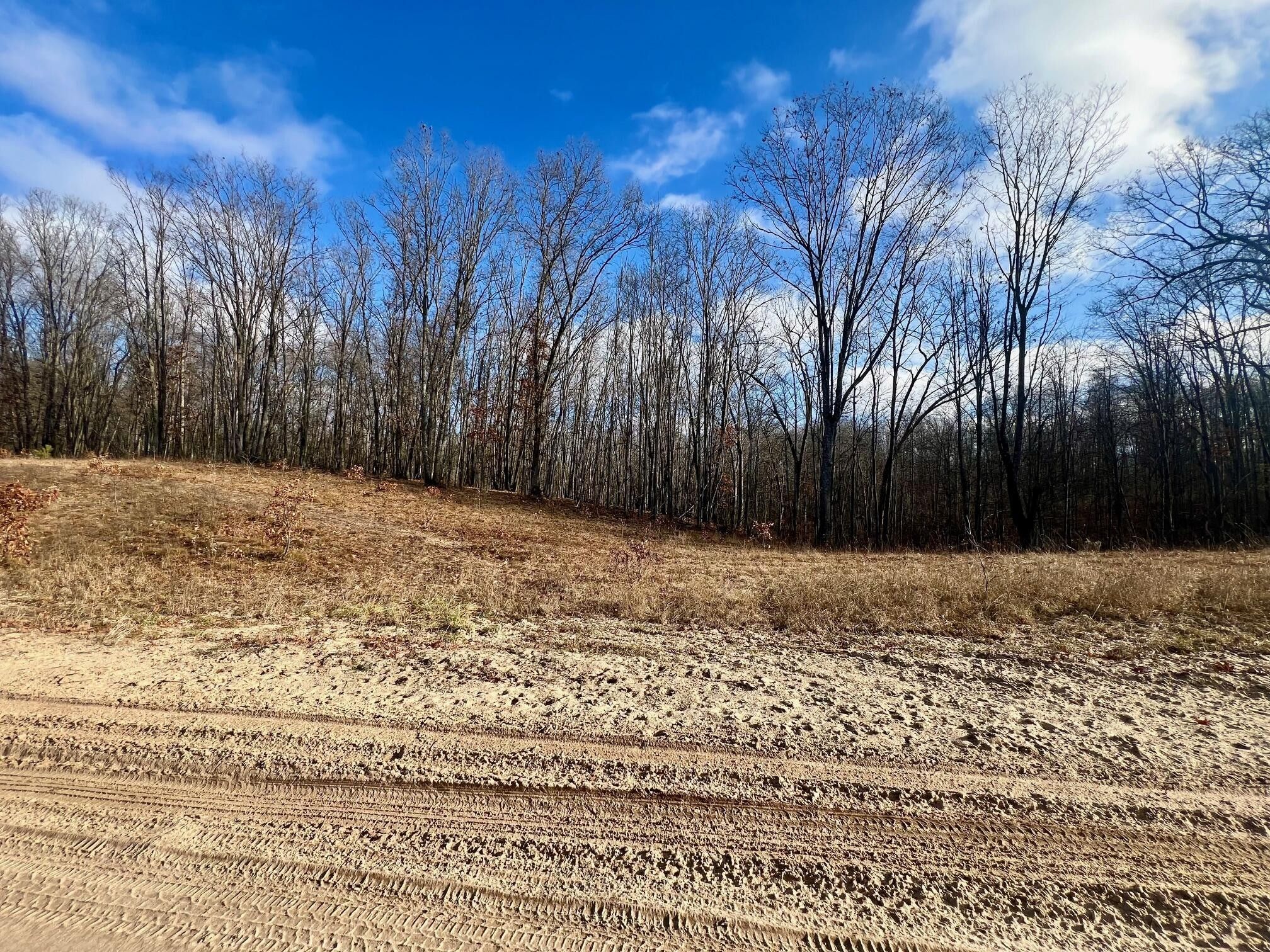 10264 S State Road, Chase, MI 49623 | MLS: 24000986 | Land.com