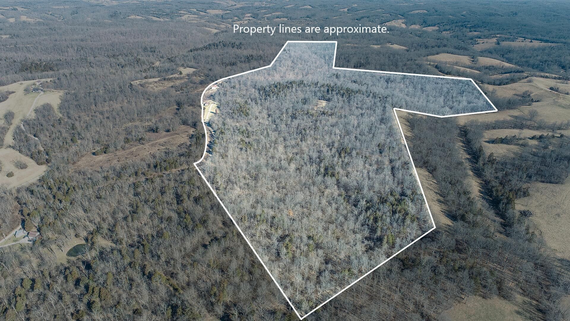 70 acres in Nicholas County, Kentucky