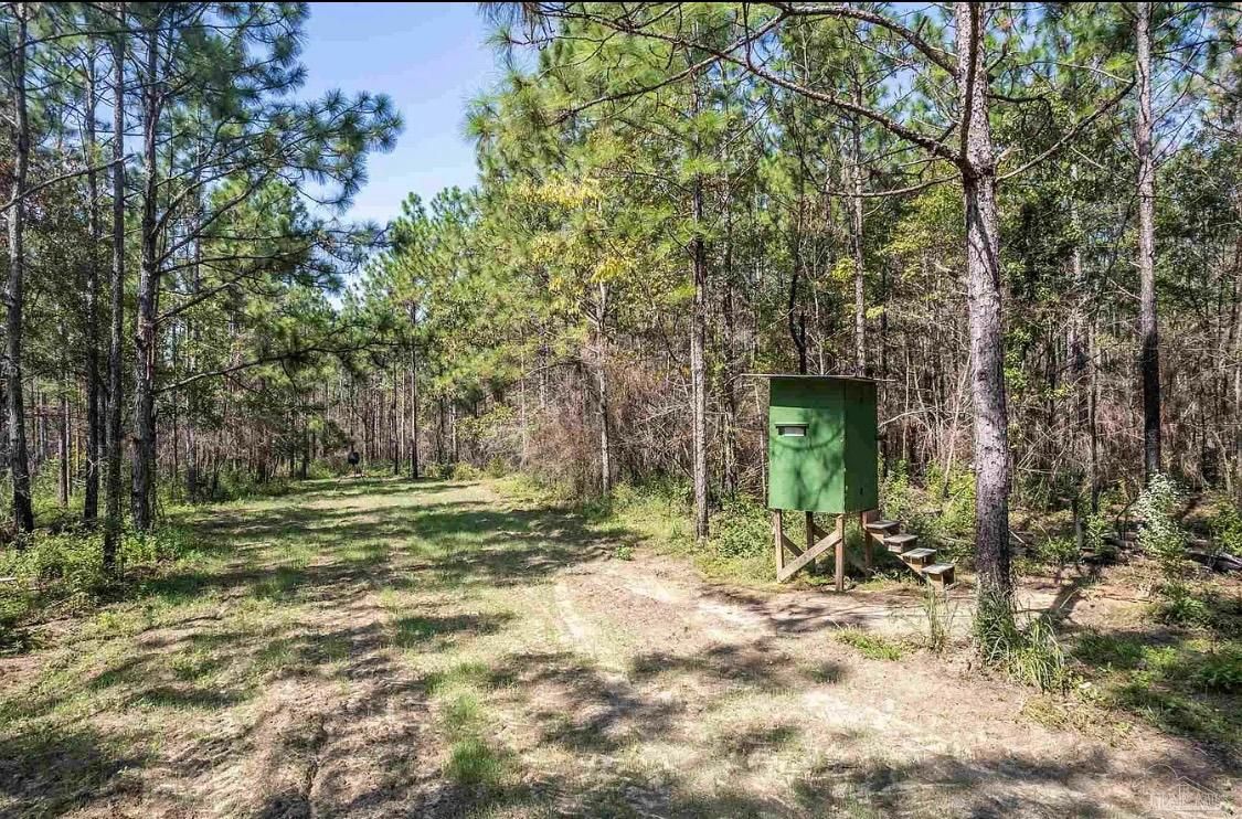 50 acres in McDavid, FL, 32568 | Land.com