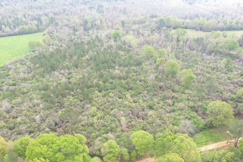 Emmitt Carter Rd, Lot#WP001, Mount Hermon, LA 70450 | Land.com