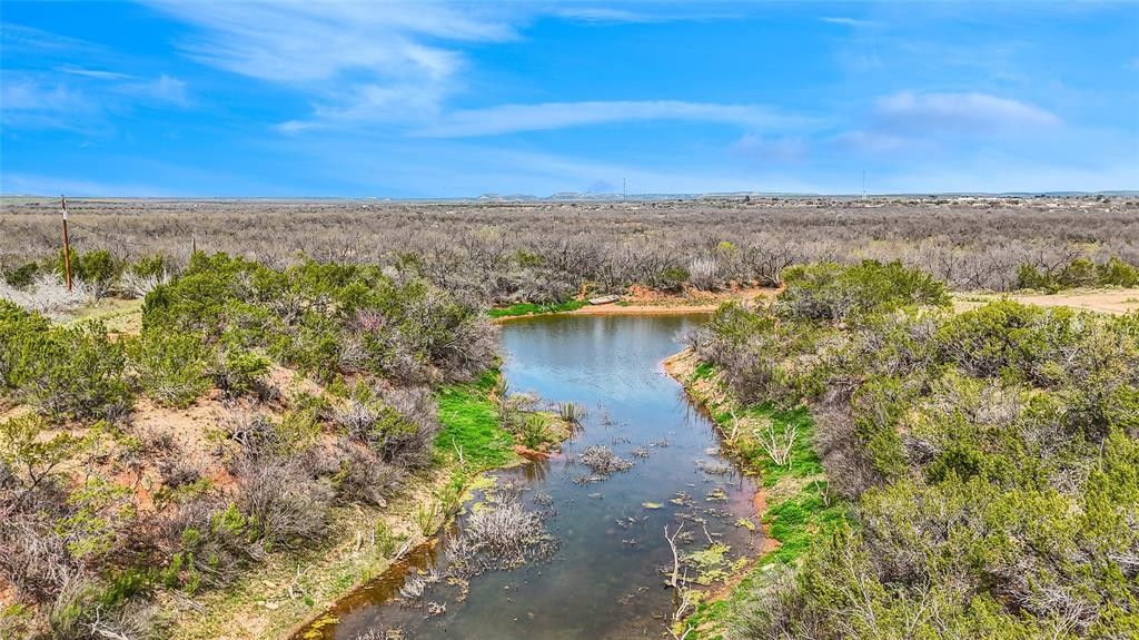 316 acres in Coke County, Texas