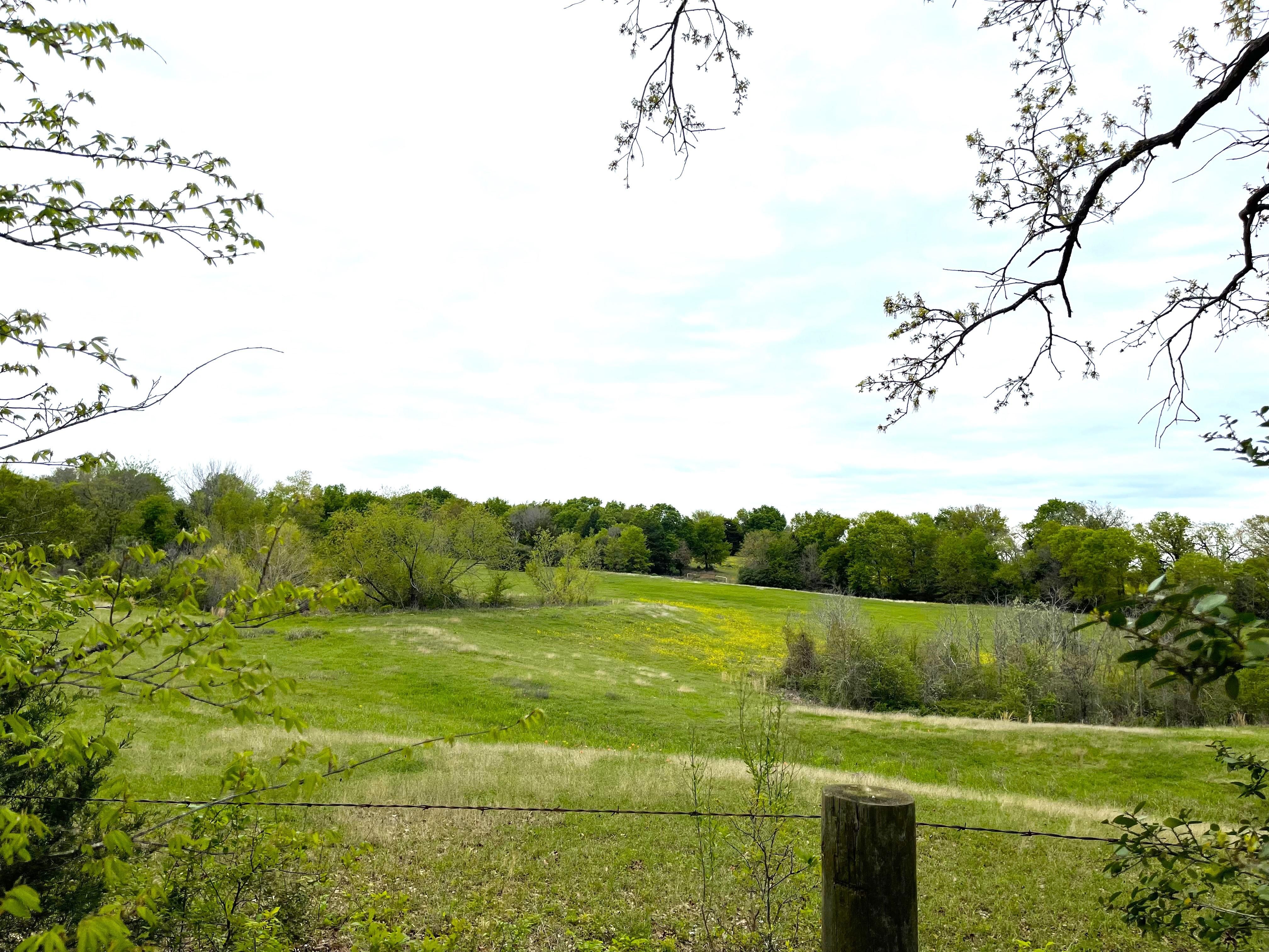 Texas 164, Donie, TX 75838 | MLS: 20565224 | Land.com
