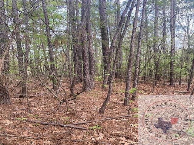 TBD CR 4126, Simms, TX 75574 | MLS: 114525 | Land.com