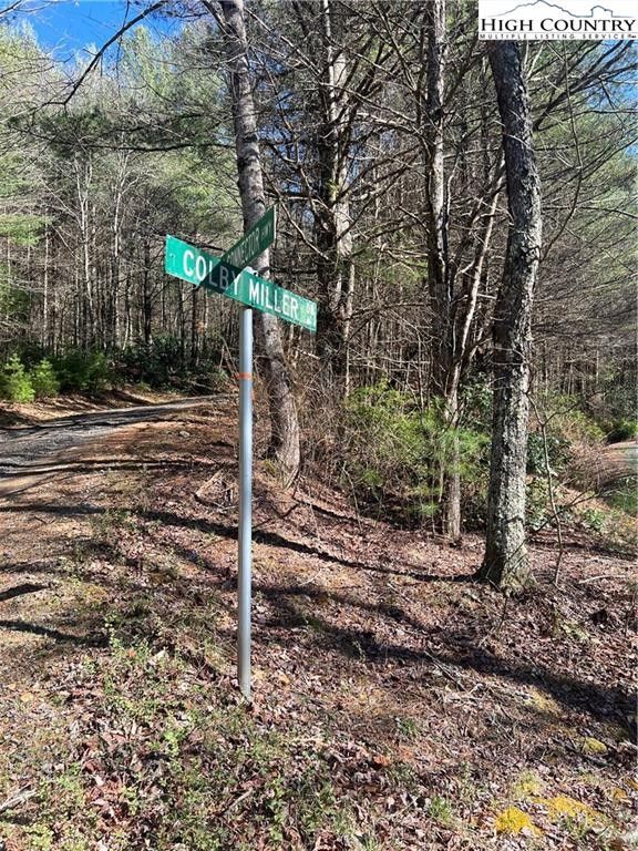 Lot 98 And 99 Colby Miller Road, Jefferson, NC 28640 | MLS: 247622 ...