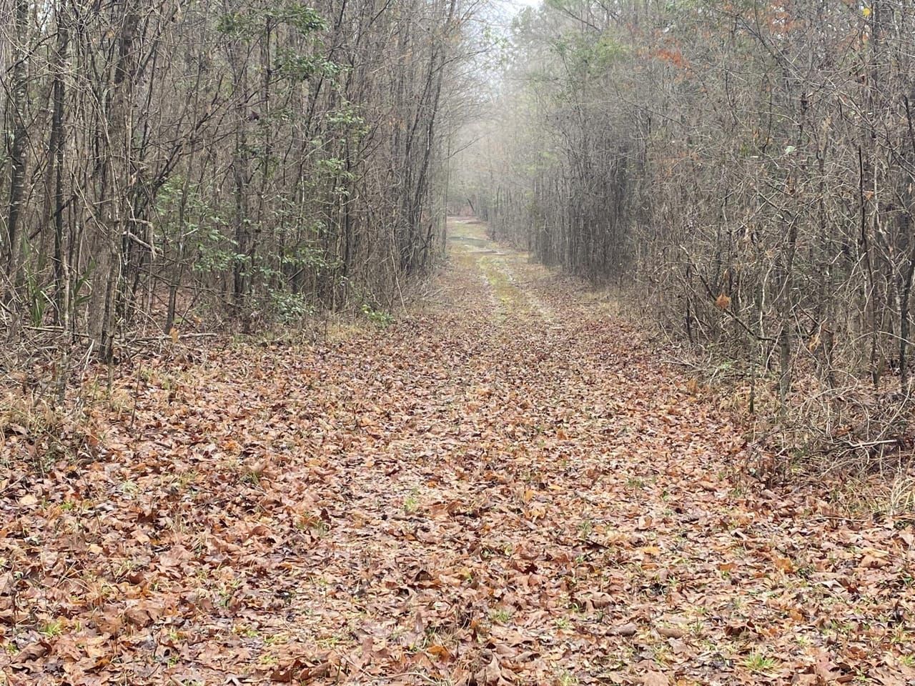 WALSTON RD., Summerfield, LA 71079 | Land.com