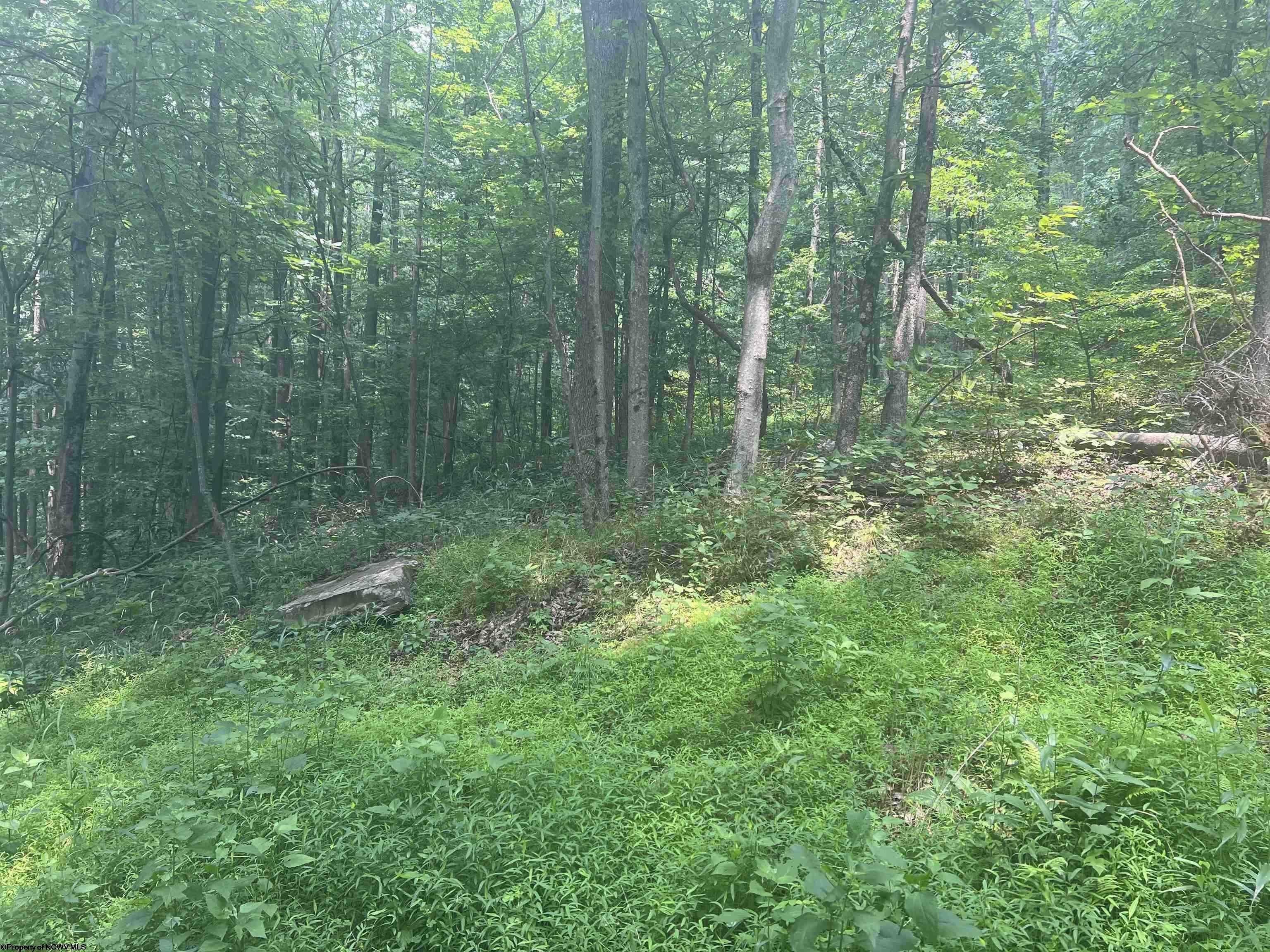 31.8 acres in Harrison County, West Virginia