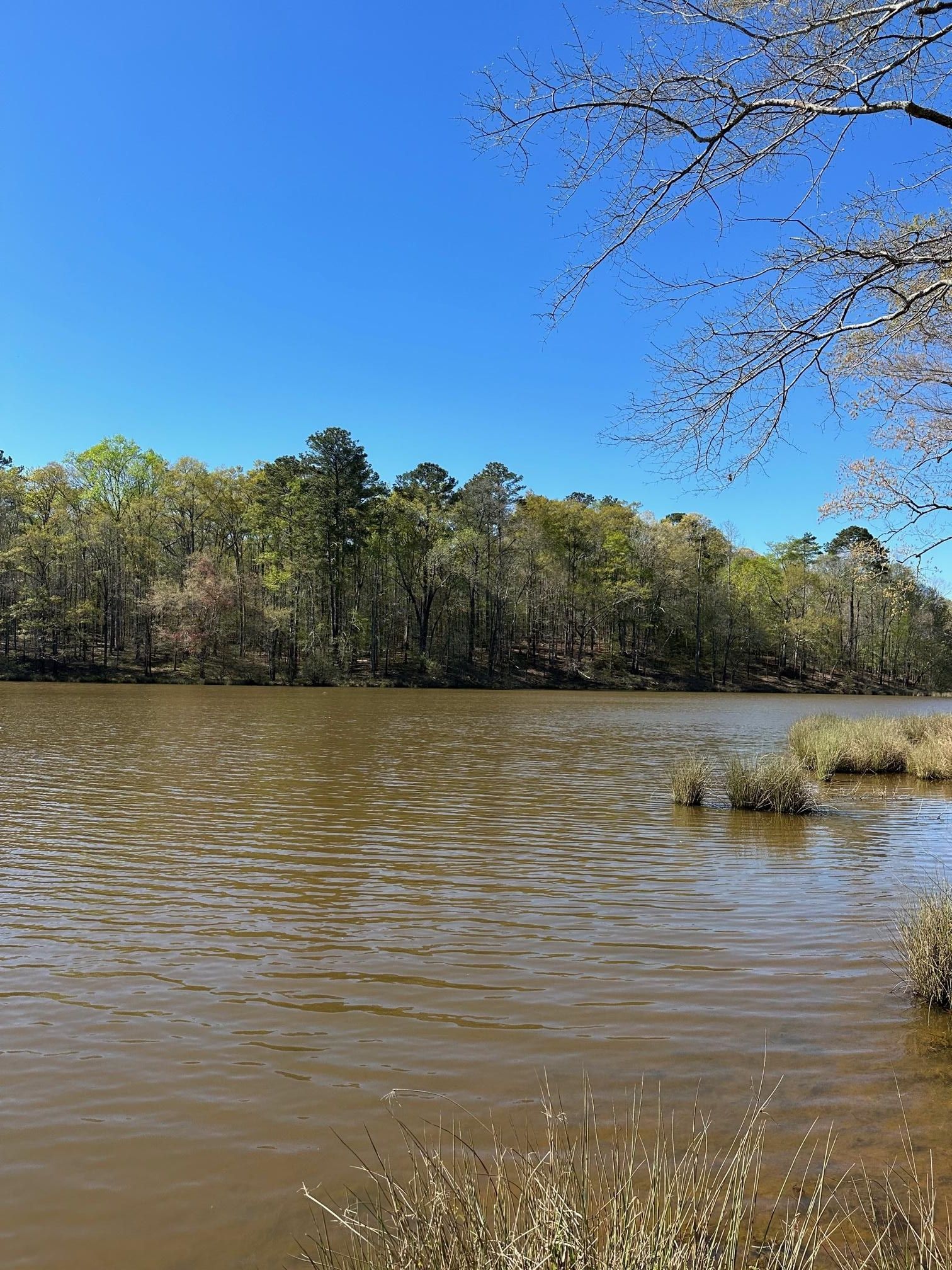 O Street, Hamilton, GA 31811 | Land.com