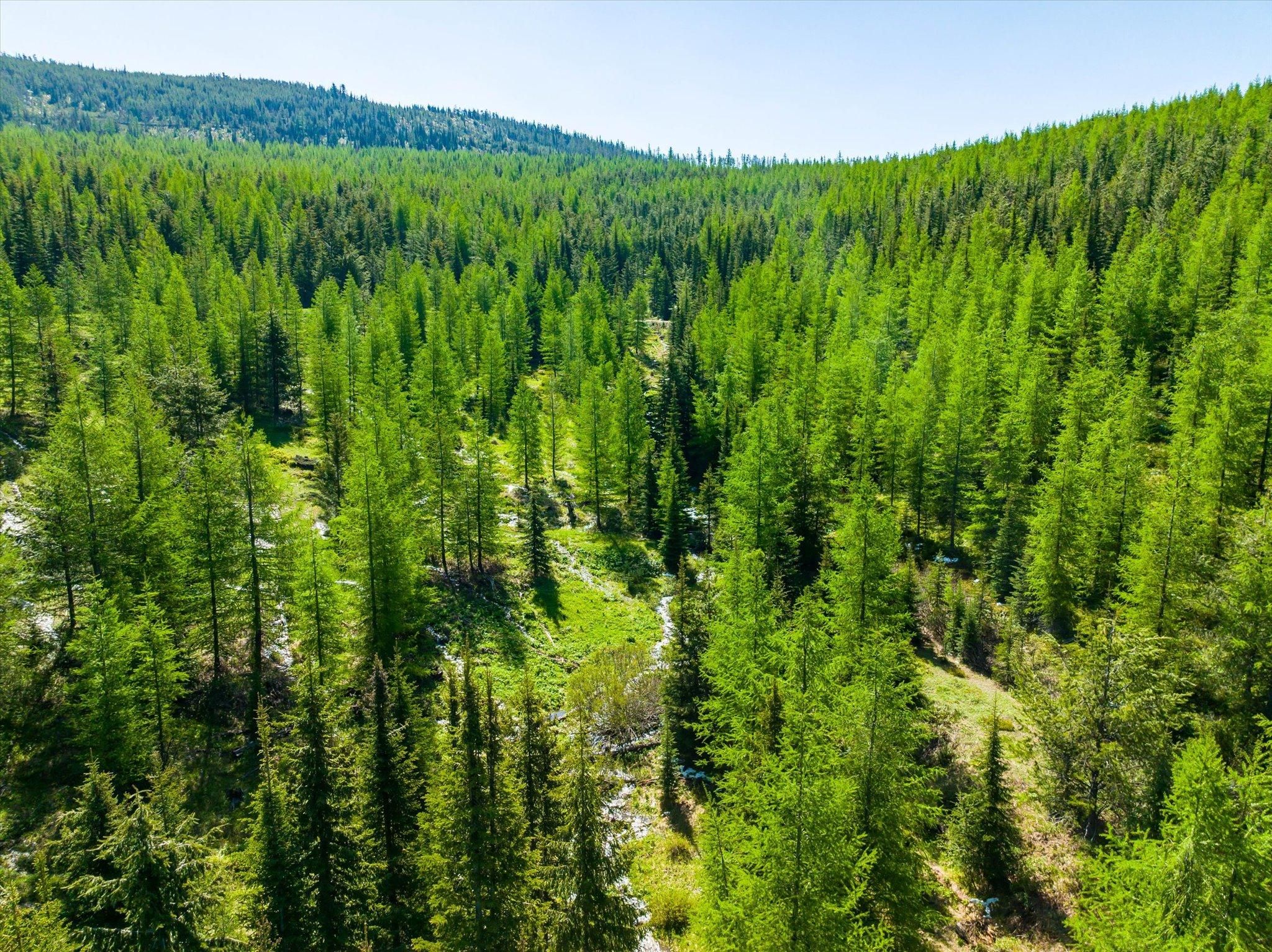 Griffin Creek Road, Marion, MT 59925 | MLS: 30022855 | Land.com